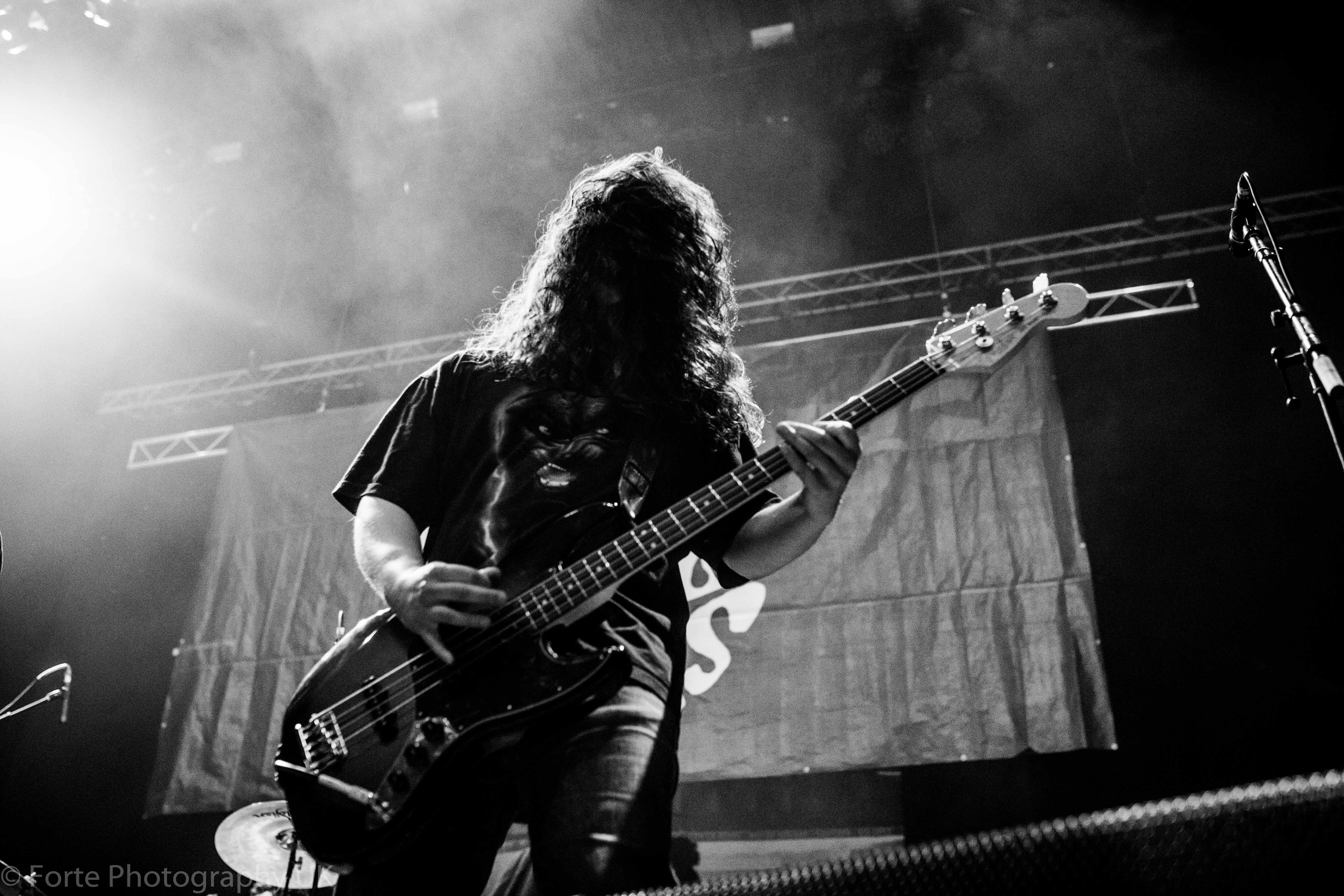 lower res for site-2 – Backseat Mafia