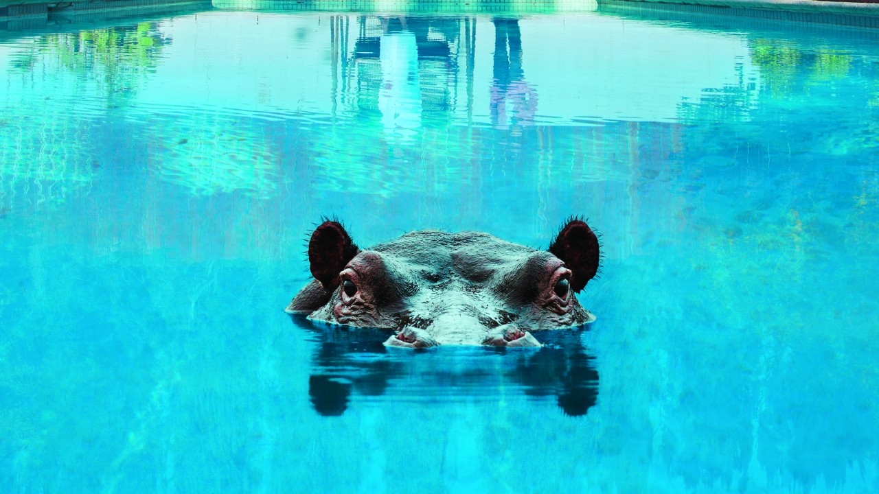 Album Review: Sparks – Hippopotamus – Backseat Mafia