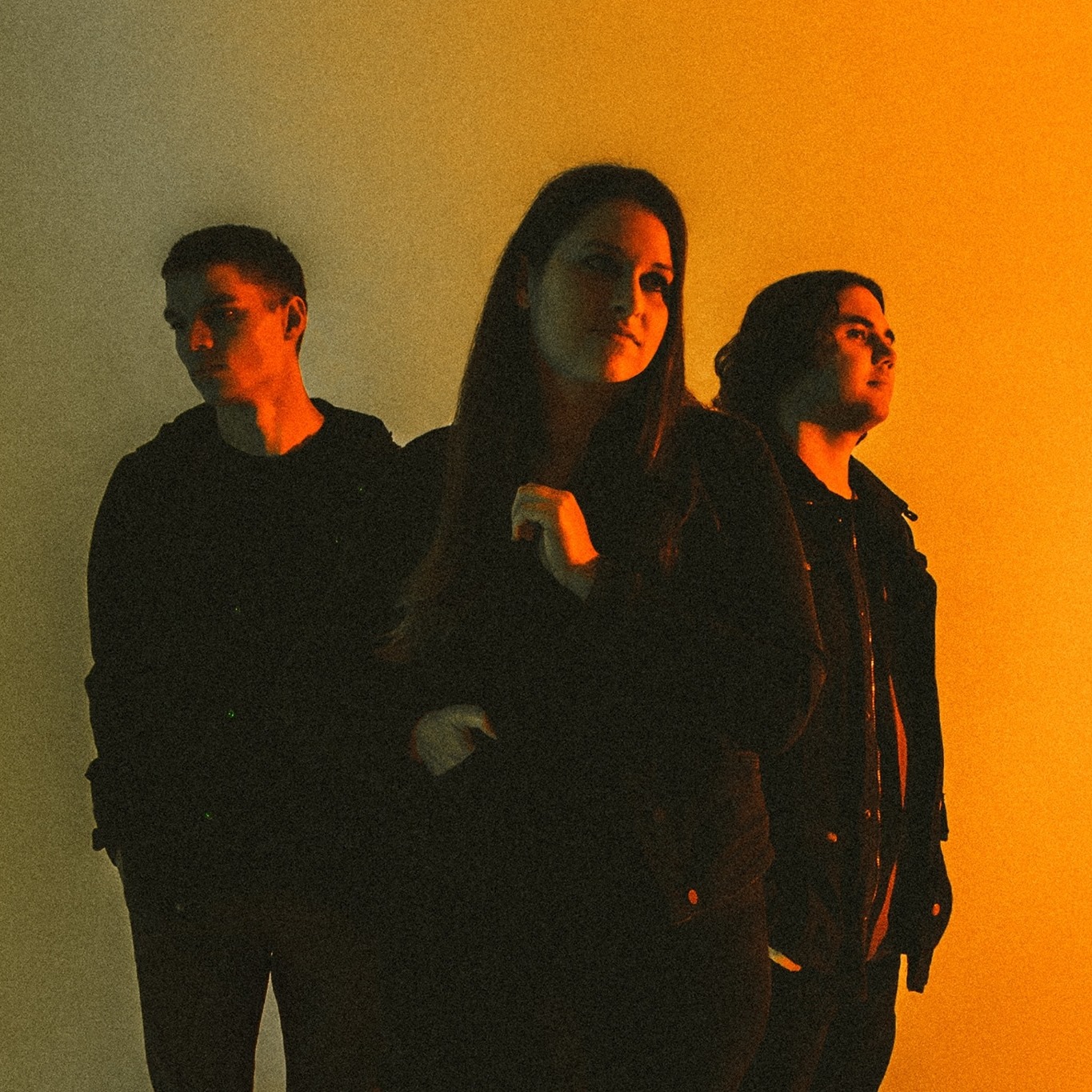 Track: Fragile Animals – Waiting – Backseat Mafia