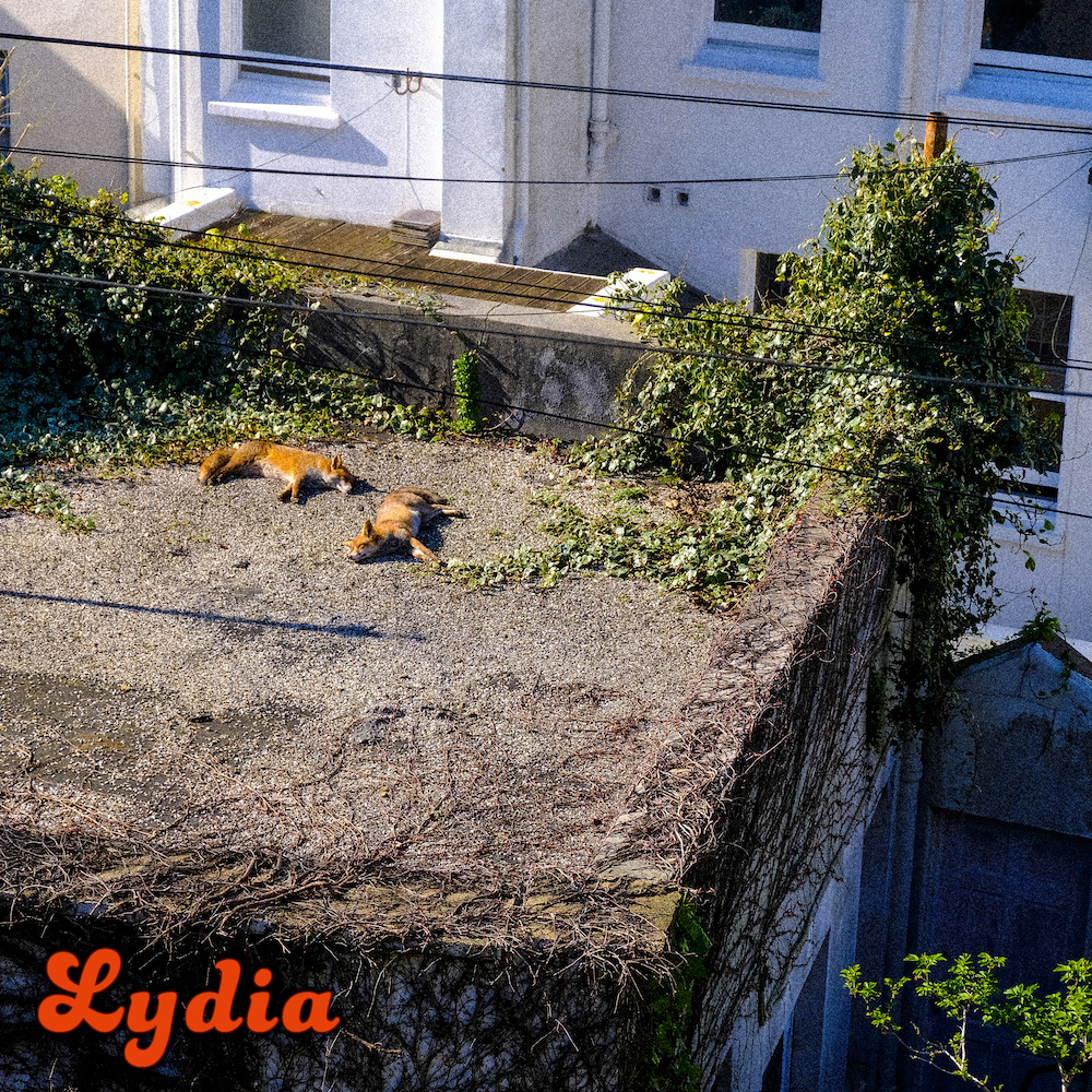 Track: HANYA – ‘Lydia’: Rising Brighton shoegazers bring the power and ...