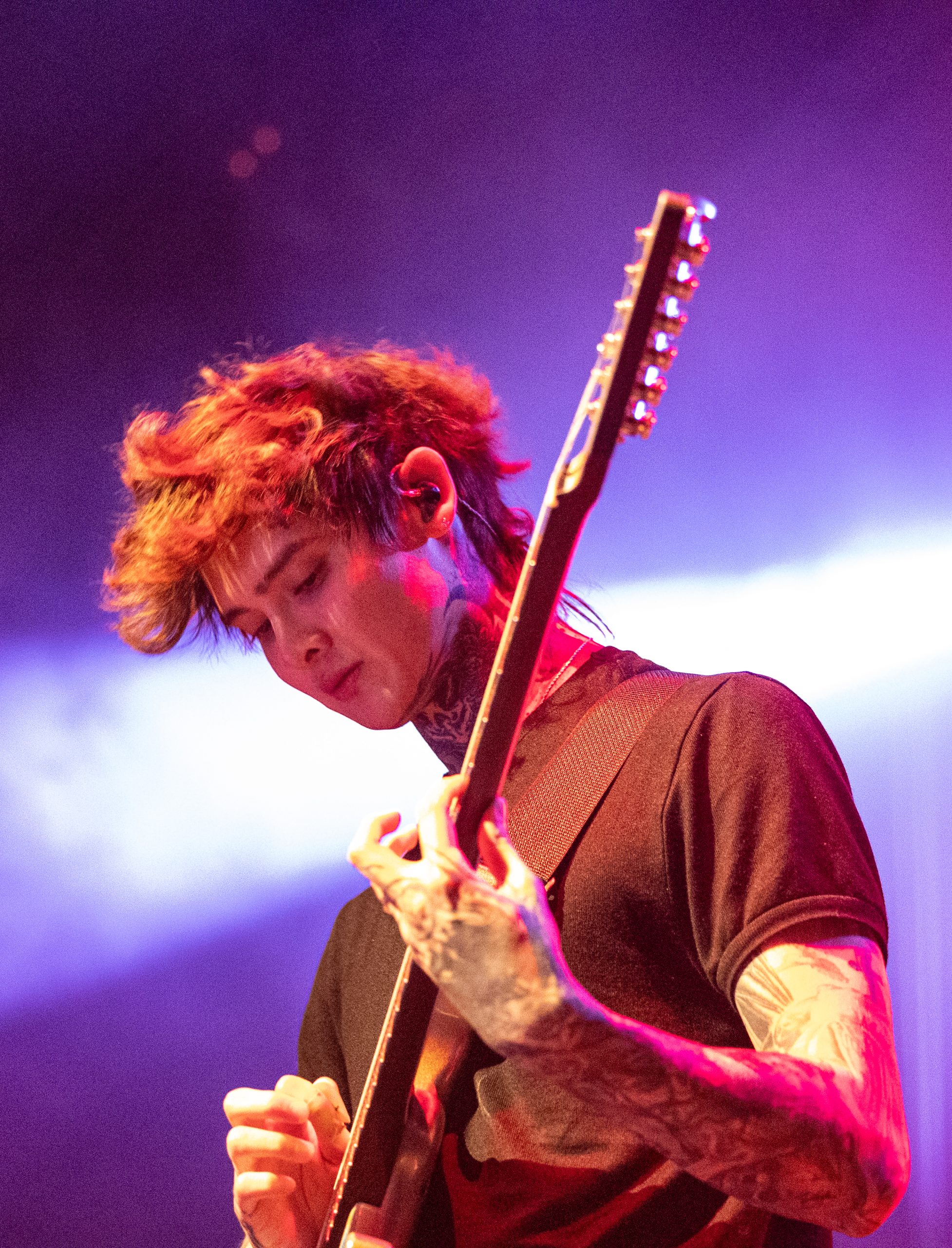 Polyphia Wikipedia Informacionpublica svet gob gt